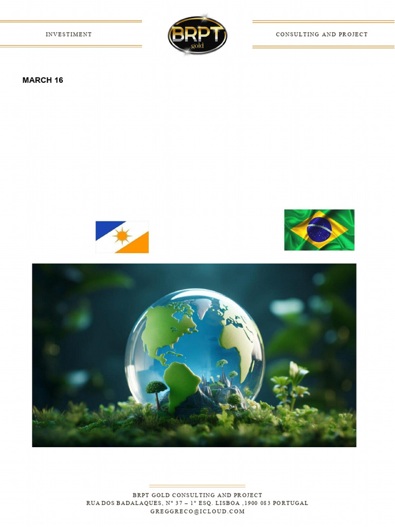 Reforestation Project in Tocantins, Brazil | PDF | Clean Development ...