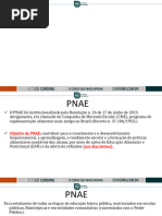 Ferramenta PLAN PNAE para Nutricionistas | PDF