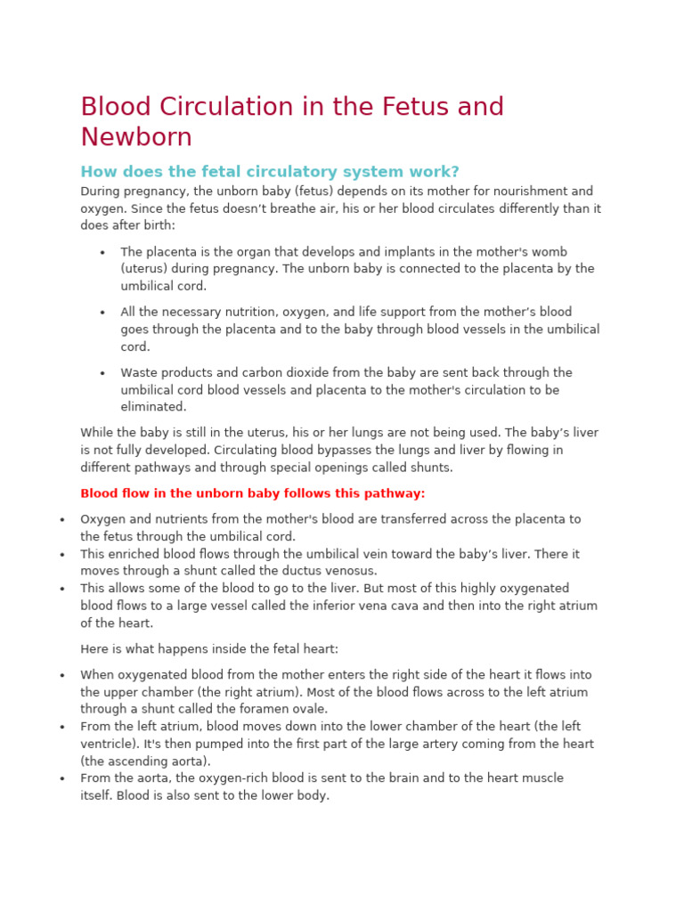 Blood Circulation in The Fetus and Newborn | PDF | Circulatory System ...