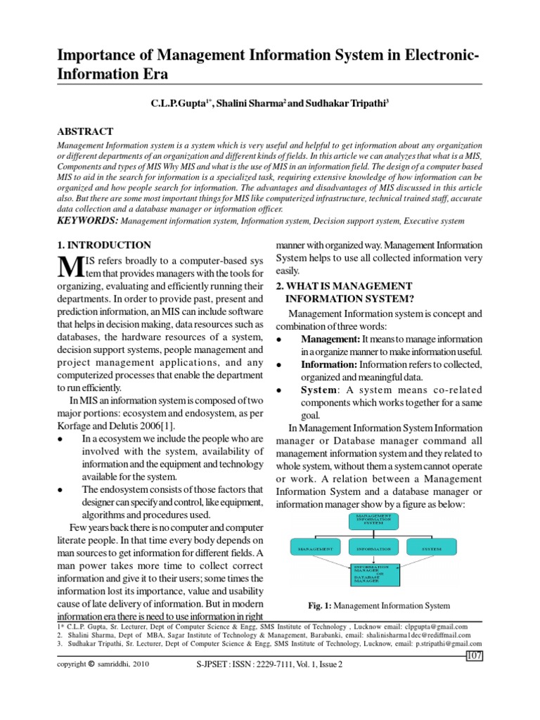 MIS For Libraries | PDF | Management Information System | Information ...