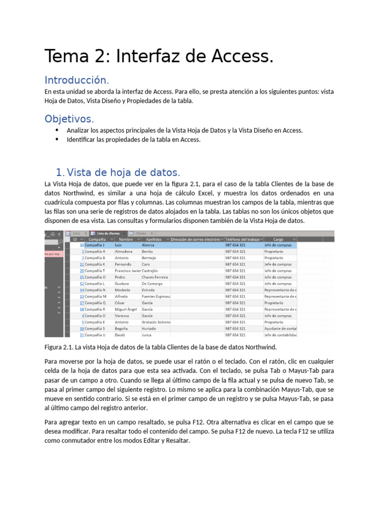 Tema 2 - INTERFAZ DE ACCESS - ENM | PDF | Botón (Computación) | Tipo de datos