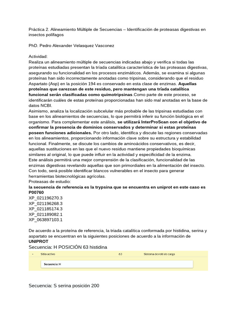 BIOINFORMATICA MEGA | PDF | Proteínas | Enzima