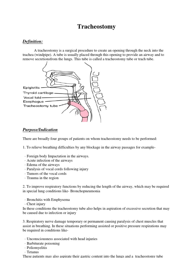 Tracheostomy | PDF | Respiratory Tract | Surgery