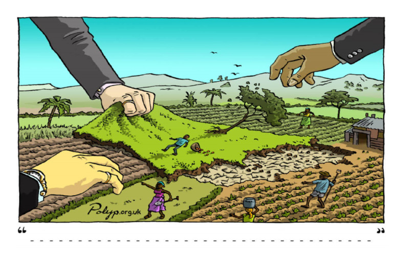 imagen el despojo | PDF