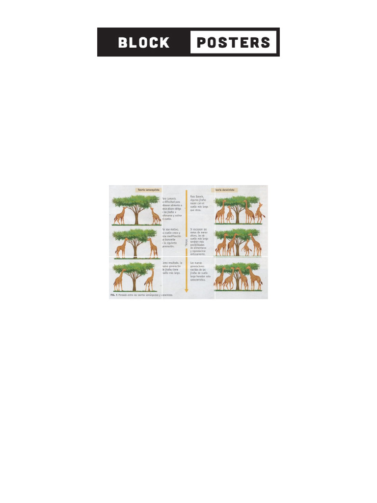 blockposter-025235 | PDF