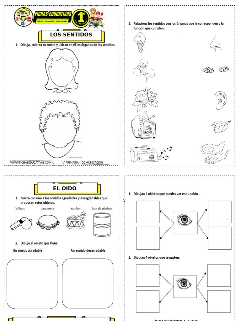 Actividades sobre los Sentidos para 1º Primaria | PDF