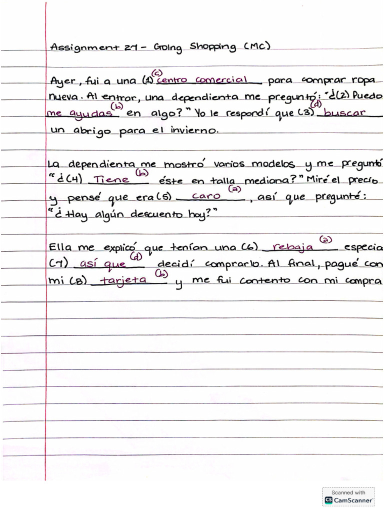 Assignment 27 - Going Shopping (MC) | PDF