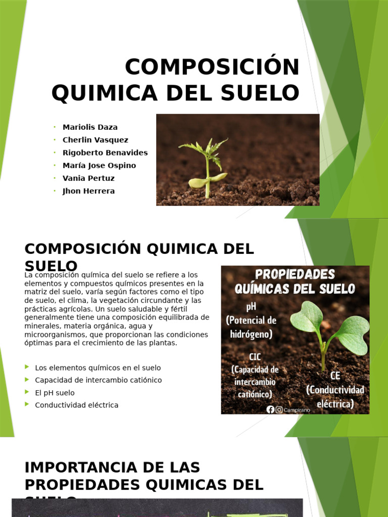 Composición Química del Suelo: Claves y Propiedades | PDF | Suelo | Química