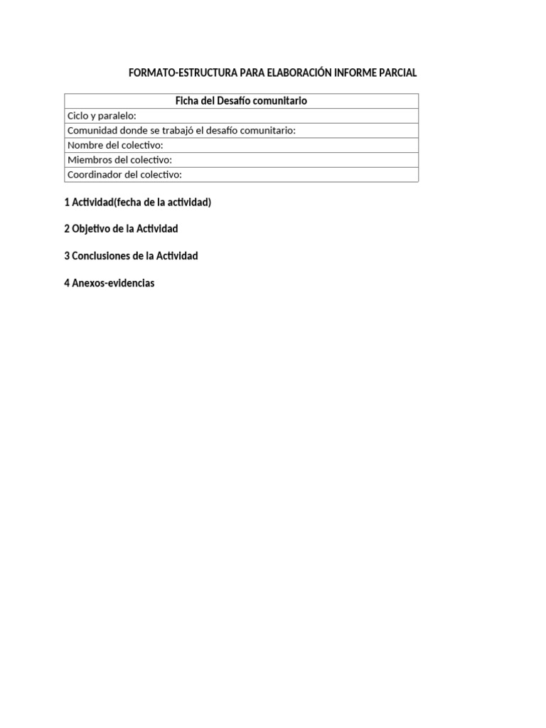 Formato Informe Parcial (1) | PDF