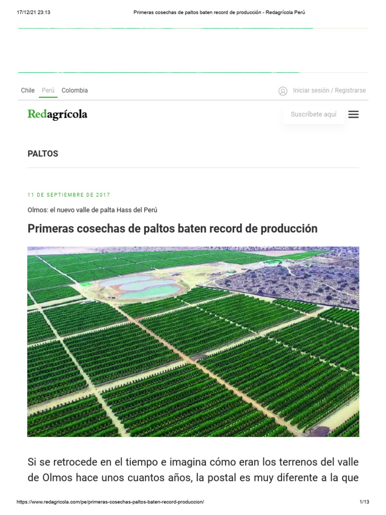 AGUACATE. Primeras Cosechas de Paltos Baten Record de Producción | PDF ...