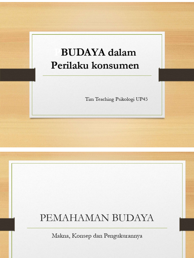 Budaya Dalam Perilaku Konsumen | PDF