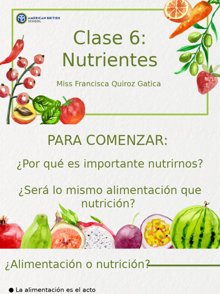 Macronutrientes y su importancia nutricional | PDF | Nutrientes | Alimentos