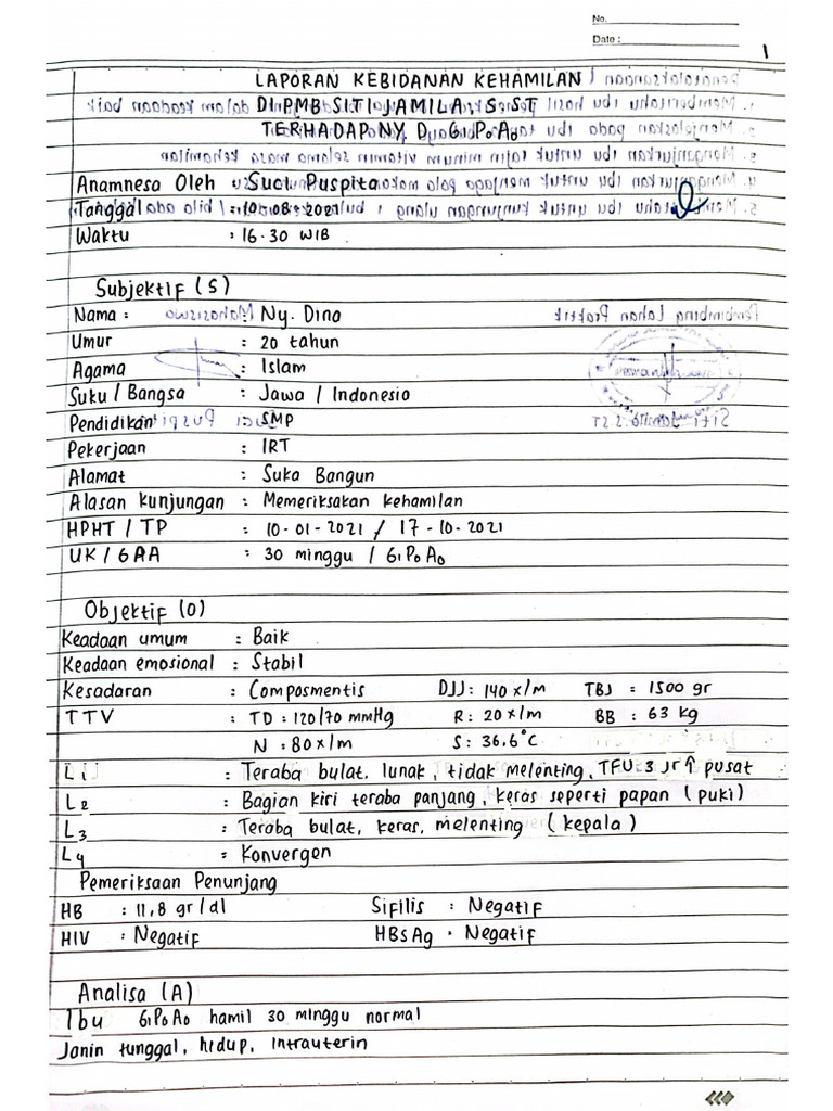 Soap Kehamilan | PDF