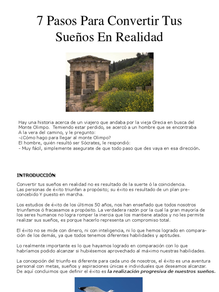 7 Pasos Para Convertir Tus Sueños En Realidad con ejercicios | PDF ...