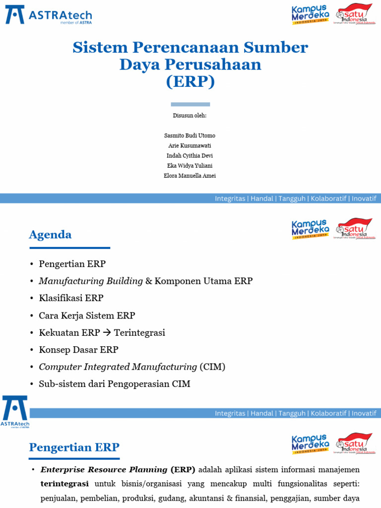 Pengenalan ERP | PDF