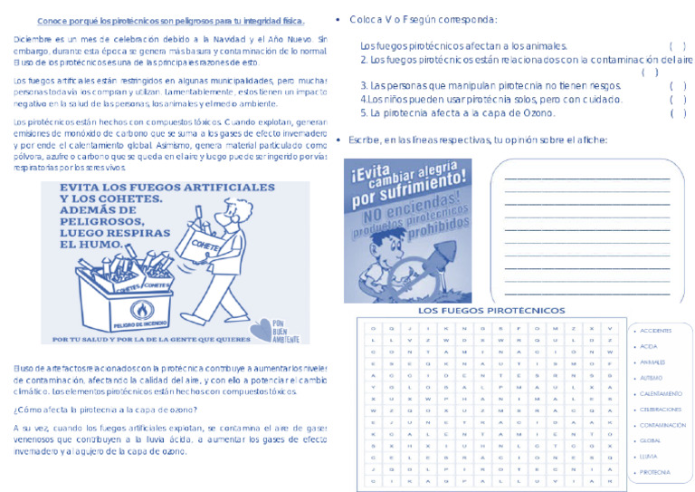 Ficha Cyt Pirotecnia | PDF