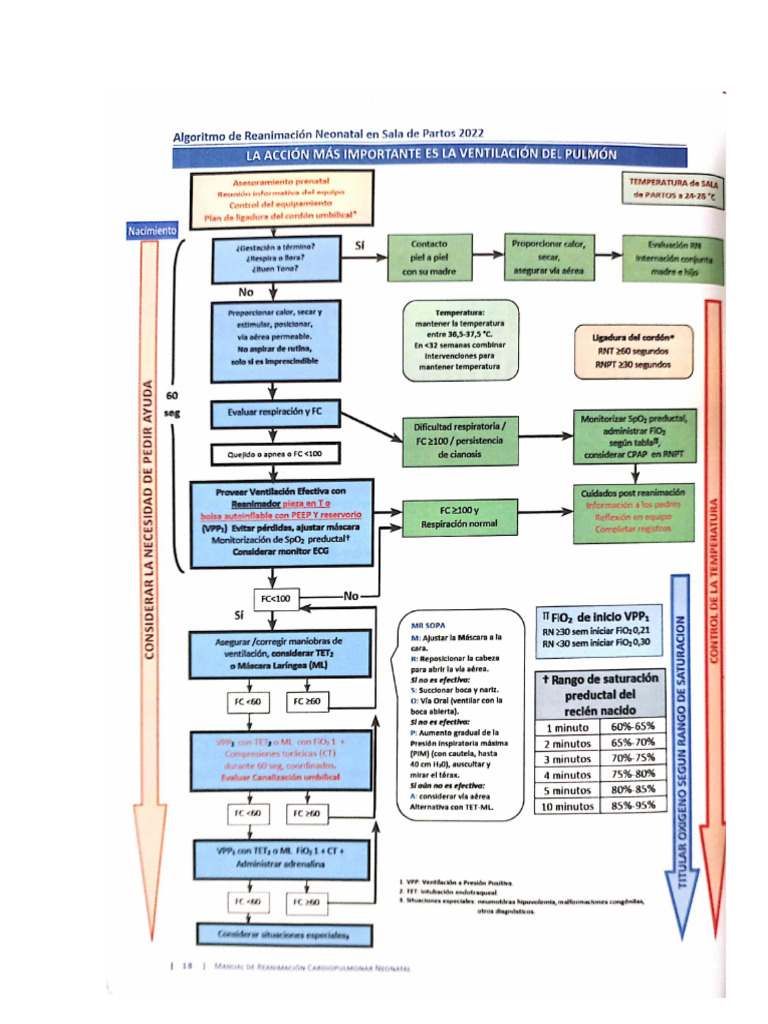 Manual de Reanimacion Cardiopulmonar Neonatal Cap 1 y 2 2 | PDF