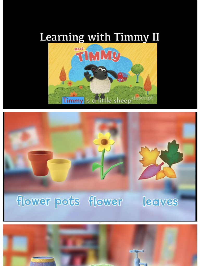 Learning with Timmy II Guide | PDF