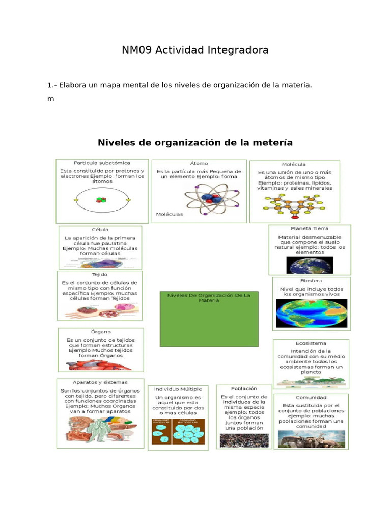 NM09 Actividad Integradora | PDF