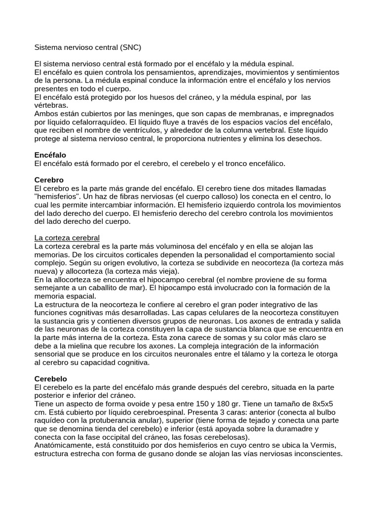 Estructura y funciones del SNC | PDF | Cerebro | Cerebelo