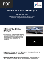 Marcha Trendelenburg: Análisis y Alteraciones | PDF | Pelvis | Sistema ...