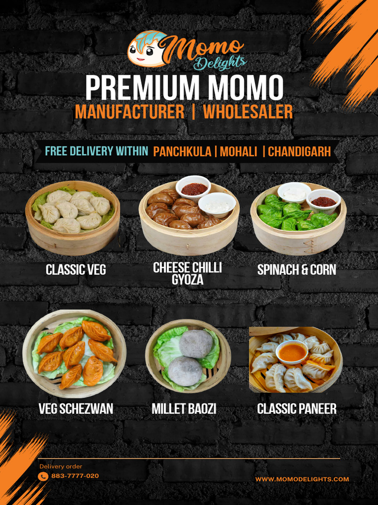 Premium Veg Momo Manufacturer & Wholesaler | PDF