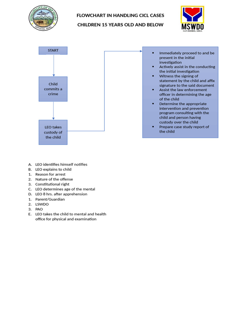 Flowchart in Handling Cicl Cases | PDF