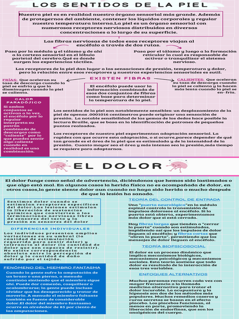 Infografía Educativa Sobre El Dolor | PDF | Dolor | Sentidos