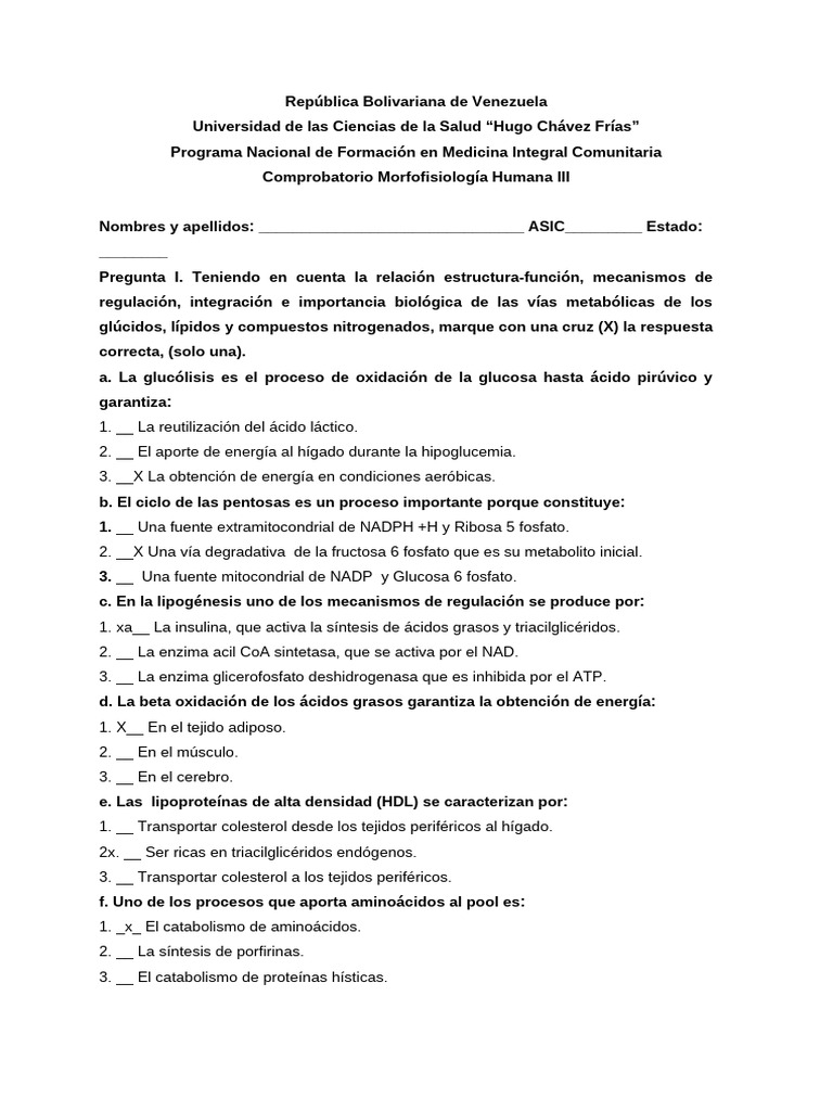 Morfo Iii | PDF | Glándula pituitaria | Nicotinamida Adenina Dinucleótido Fosfato