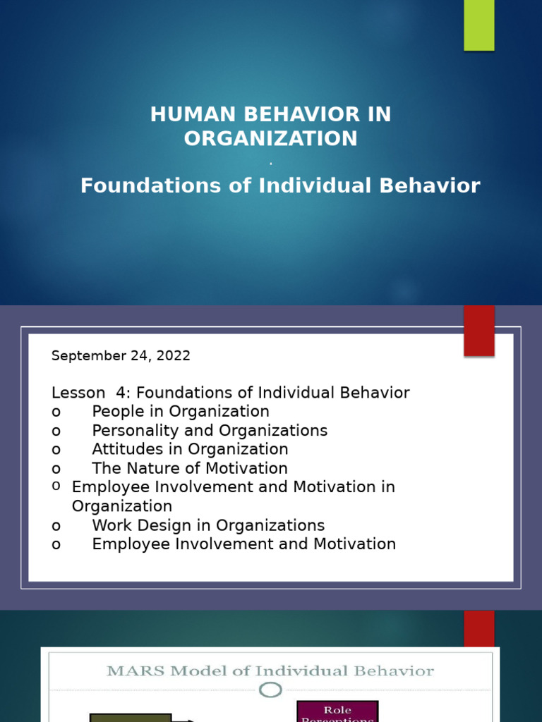 Foundations of Individual Behavior | PDF | Attitude (Psychology ...