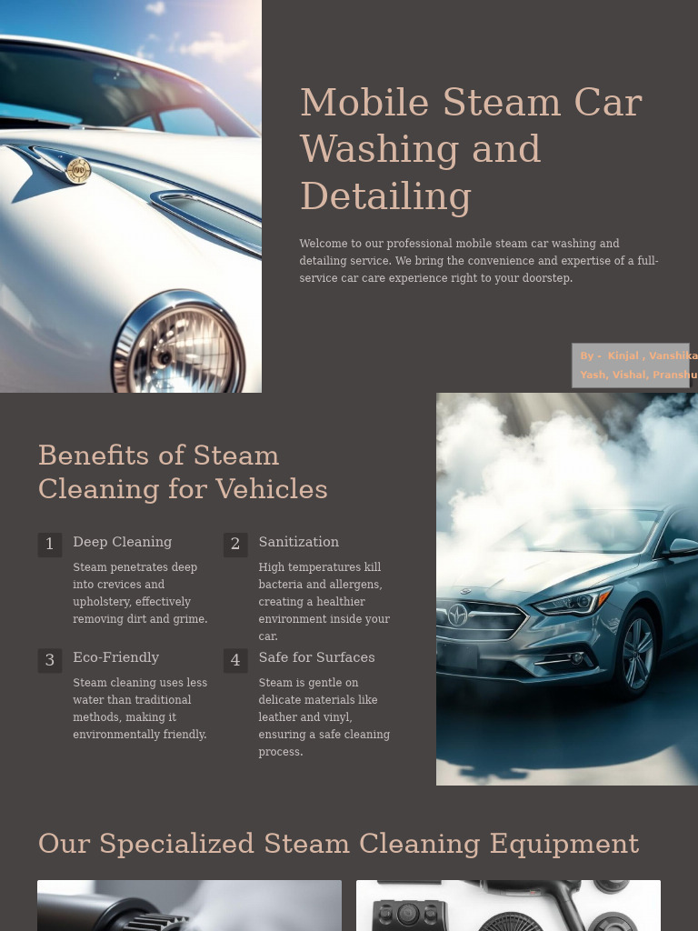 Mobile Steam Car Wash & Detailing Service | PDF