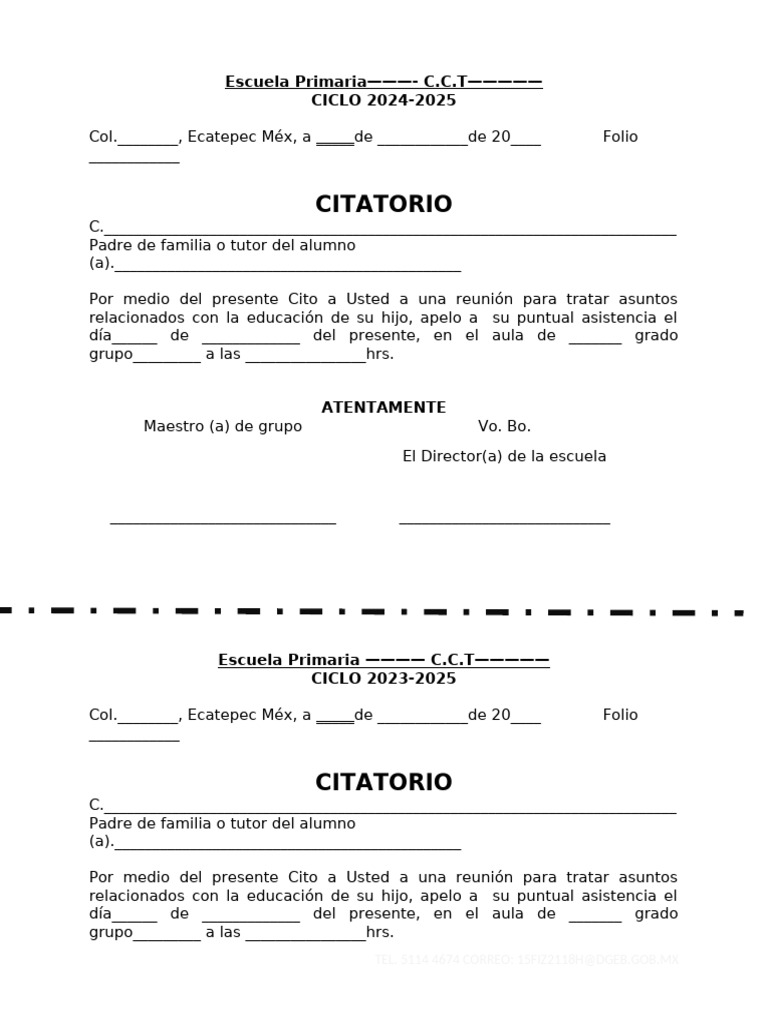 3-Formato Citatorio | PDF