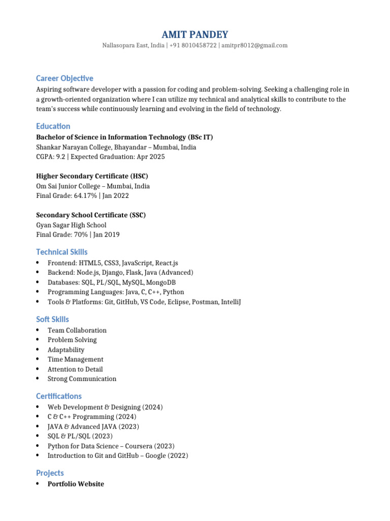 Amit Pandey CV Professional Template | PDF