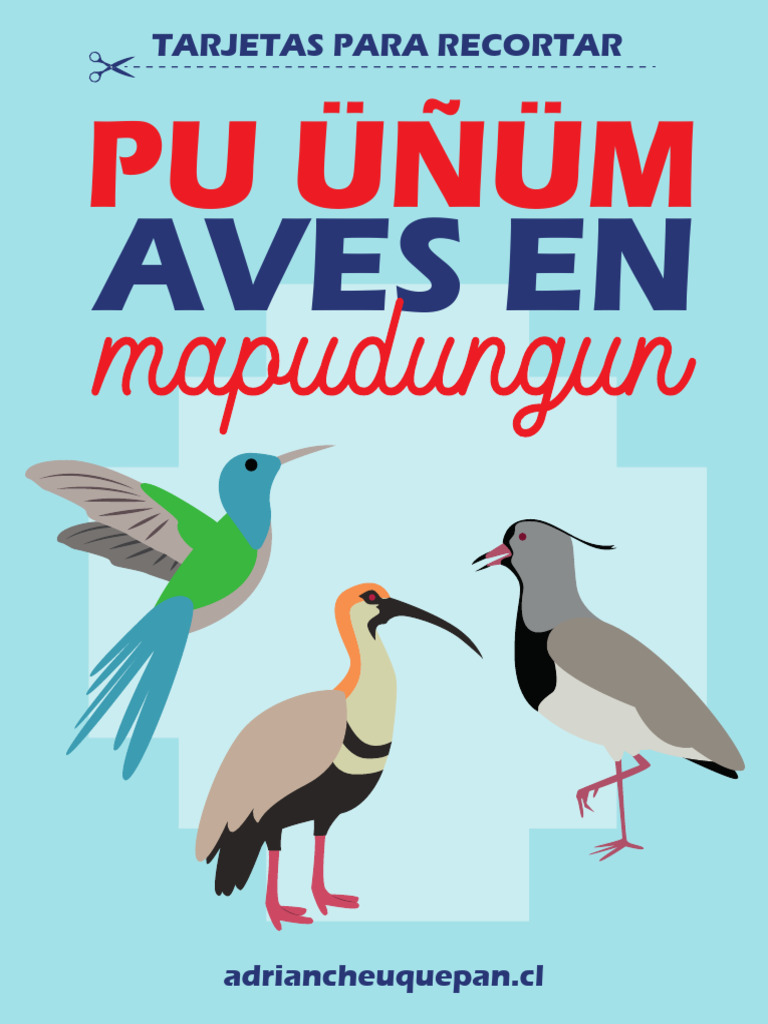 Tarjetas de Aves en Mapudungun | PDF