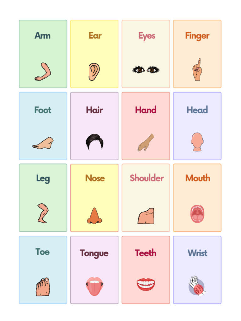 en_worksheet_bodyparts | PDF