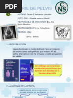 Doppler Venoso Mmii Safena Magna y Parva | PDF | Vena | Sistema ...