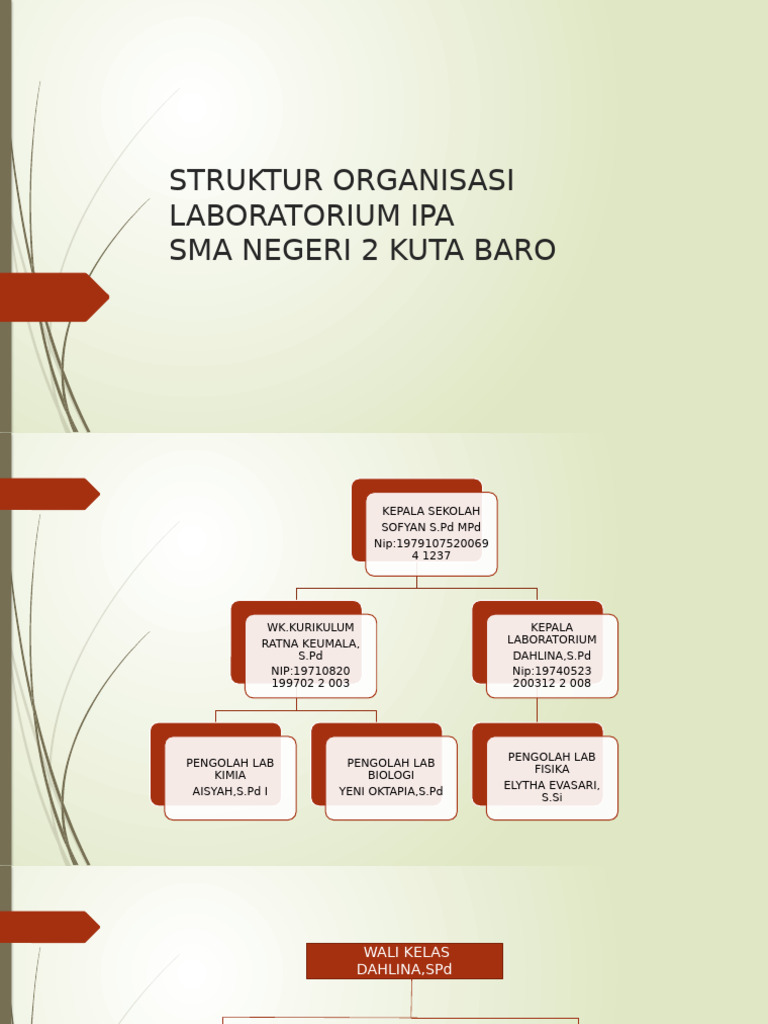Struktur Organisasi Laboratorium Ipa Sarah | PDF
