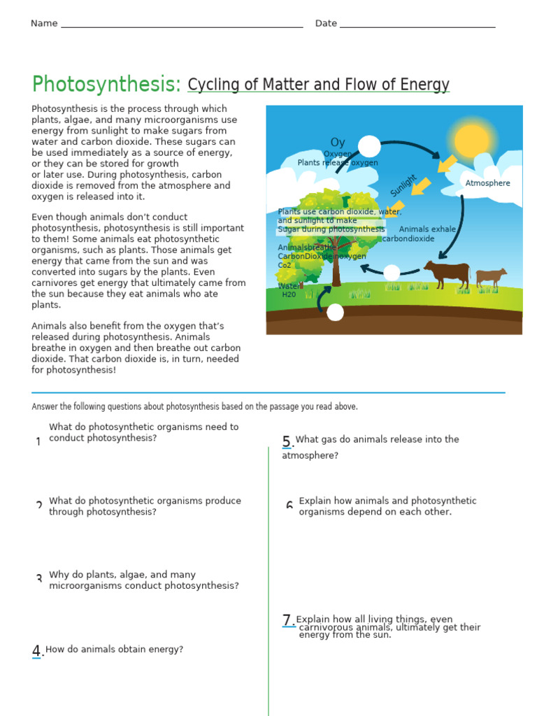 Photosynthesis Cycling of Matter and Flow of Energy | PDF ...
