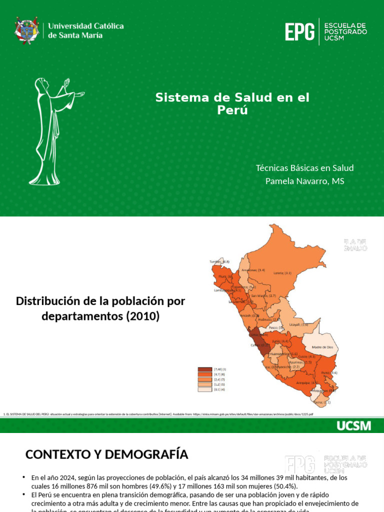 Sistema de Salud en Perú: Desafíos y Estructura | PDF | Demografía | Perú