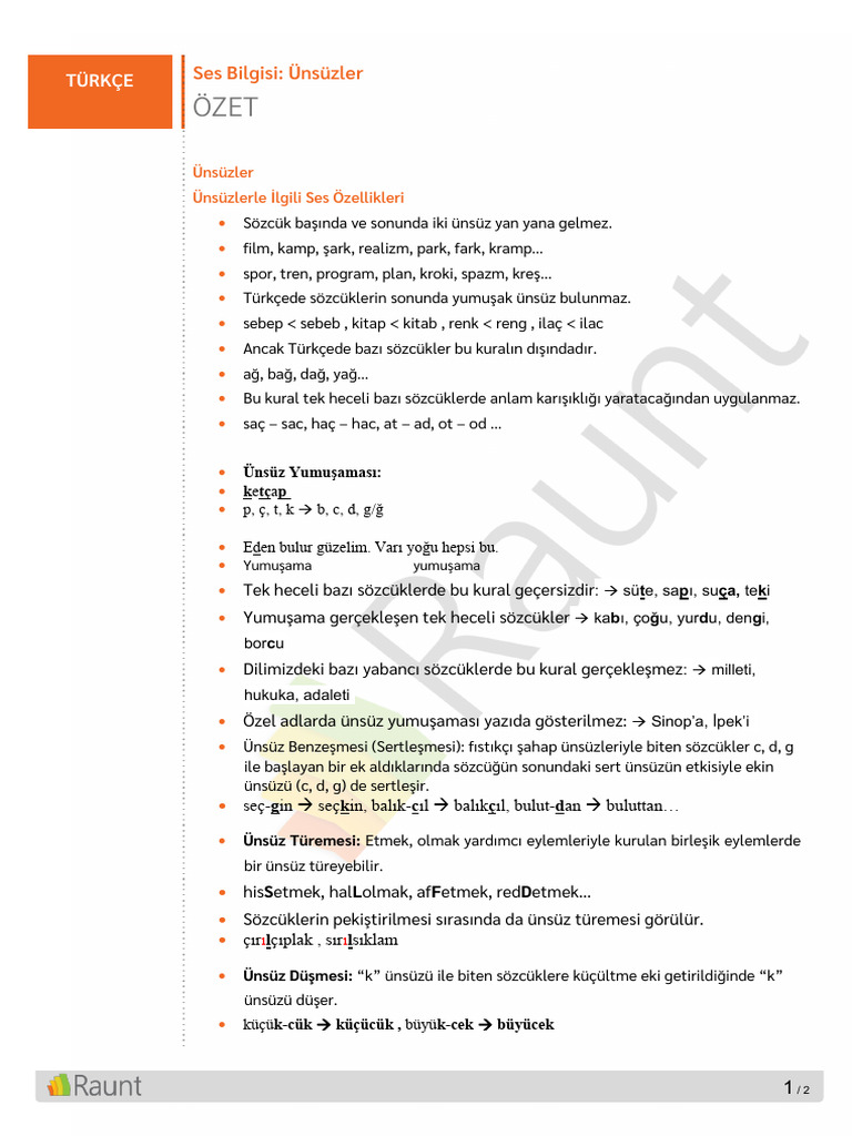 2ses Bilgisi - Unsuzler | PDF