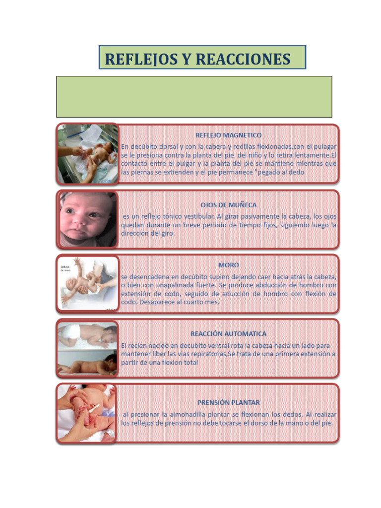 Clase-5-Reflejos y Reacciones Actualizado | PDF | Mano | Pie