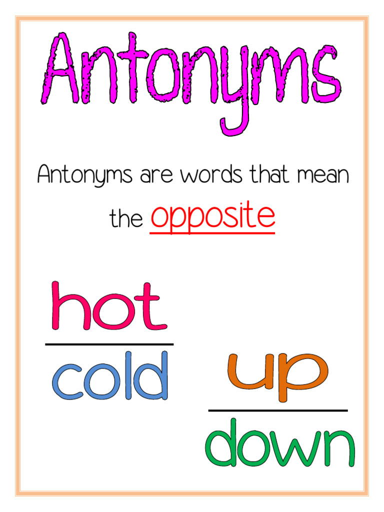 Understanding Antonyms and Contractions | PDF