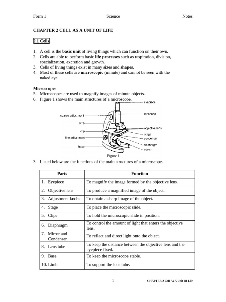 PMR Science Form 1 Chapter 2 Cell As A Unit of Life 2 | PDF | Human ...
