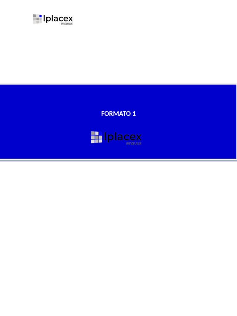 Anexo - Formato 1 | PDF