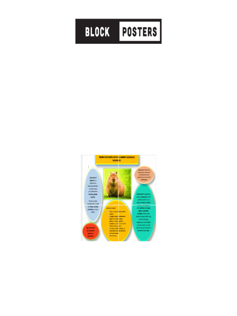 Blockposter 062631 | PDF