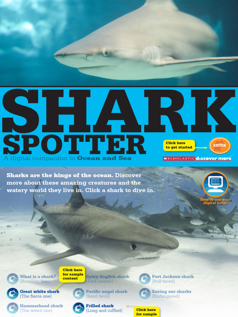Shark - Spotter - Digibook - Demo - 1CH 14 | PDF | Sharks | Cetacea
