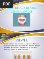 Diferentes Caras Del Diente | PDF | Odontología | Anatomia dental