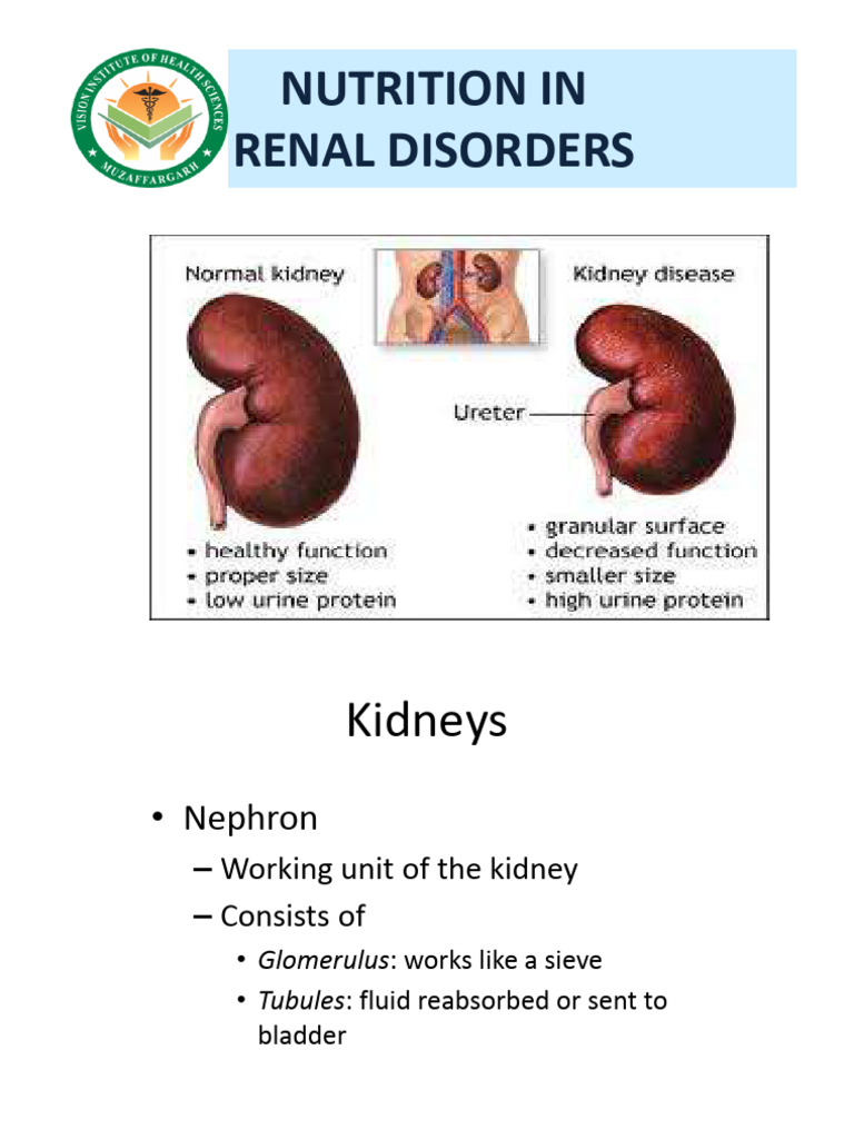 Nutrition Guidelines for Renal Disorders | PDF | Kidney | Endocrine System