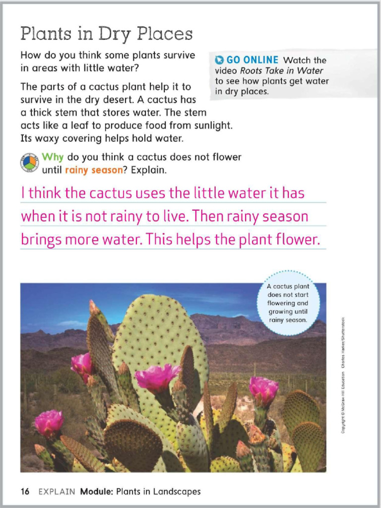 G2 U4 Plants in dry places | PDF