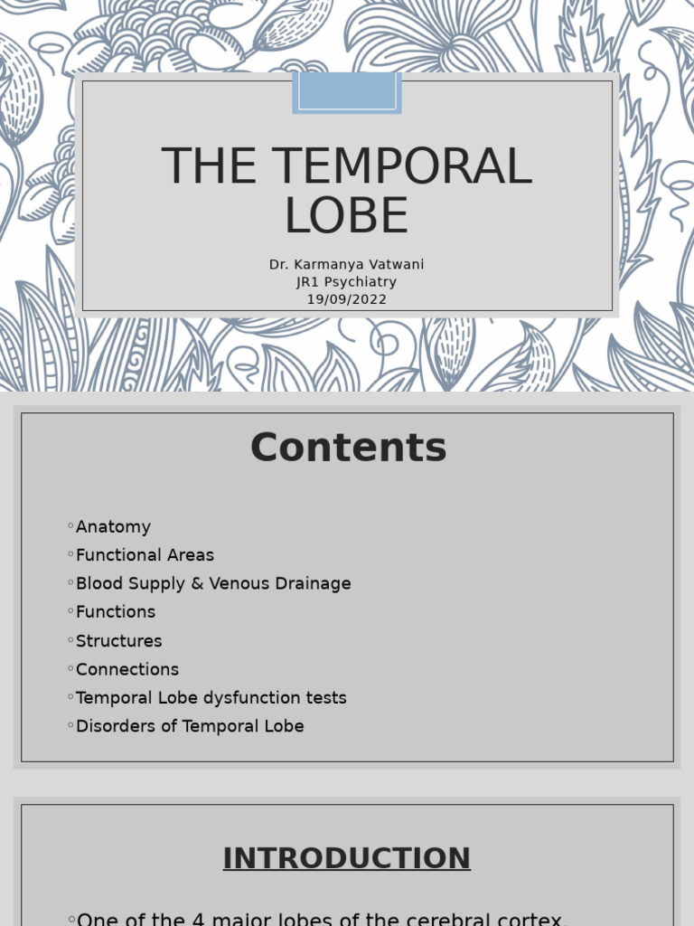 Understanding the Temporal Lobe Functions | PDF | Temporal Lobe ...